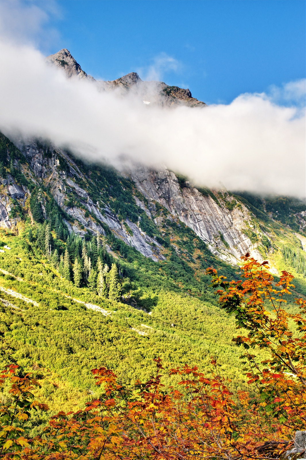 Природата: Най-добрият лек за човешката душа и тяло | Lifebites.bg